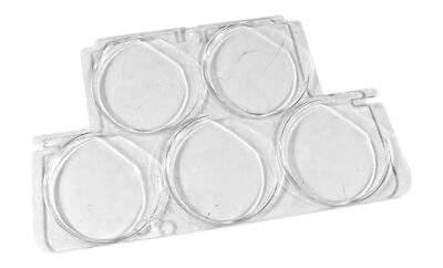 Gauge Cluster Lens. Except 1982 Collector Edition For 1968-1982 C3 ...