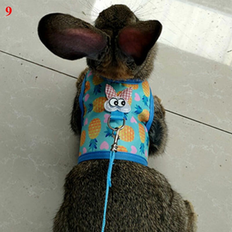 Rabbit Vest Guinea Pig Rat Ferret Harness & Lead Breathable Soft Pet ...