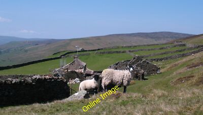 Photo 12x8 Sheep at Barf End Gunnerside Swaledale ewe and lamb at Barf ...
