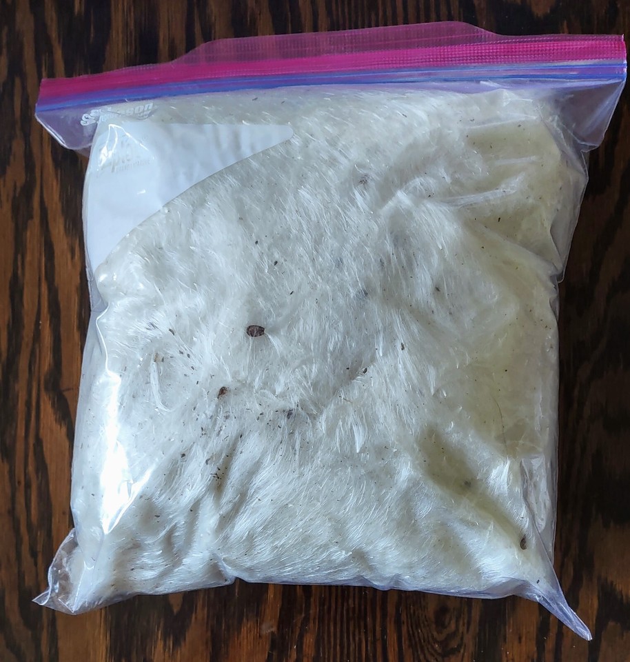 Fluffy Milkweed Floss, Organic - Natural Stuffing, Wind Direction for ...