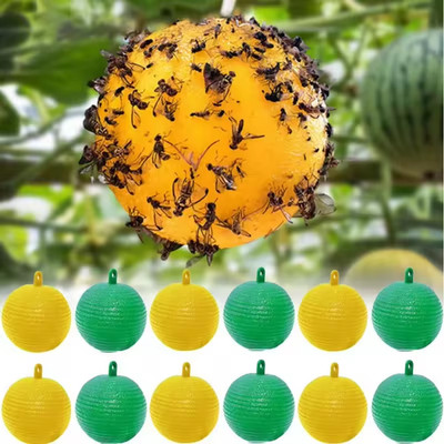 Fruit Fly Balls Fruit Fly Catcher Sticky Trap Insect Bees Fly Killer ...