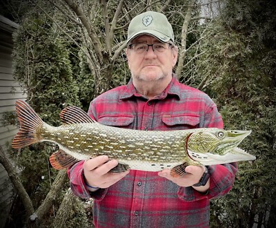 Northern Pike Wood Carving - Hand Carved Wood Fish | eBay