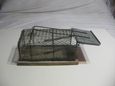 Primitives - Mouse Trap