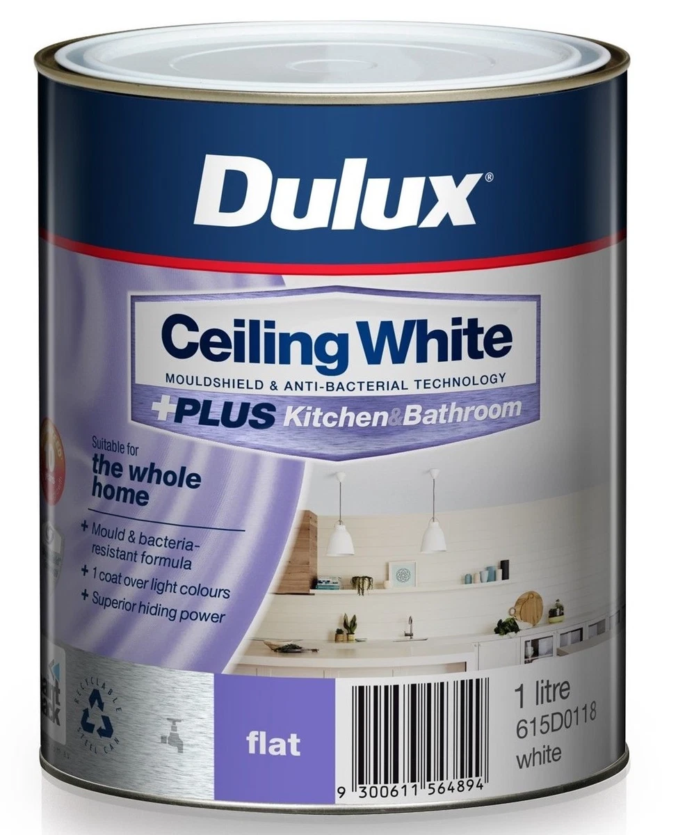 Ceiling White Paint Dulux | Shelly Lighting