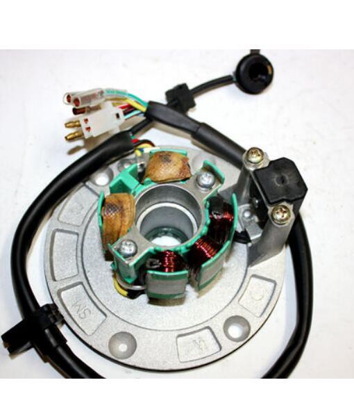 Digital Stator Plate & Flywheel For Pit Bike Engine. Fits Zongshen Z155 ...