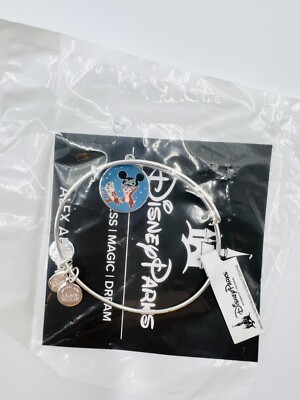 Disney Parks Alex And Ani Chip And Dale 2018 Silver Charm Bangle ...