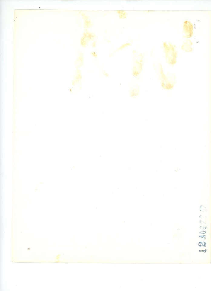 Vintage 8x10 Photo Back at the Front 1952 film Tom Ewell Harvey Lembeck ...