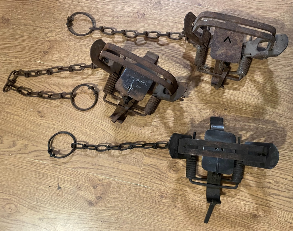 Three #3 and #4 coil spring traps with offset jaws, strong trapping ...