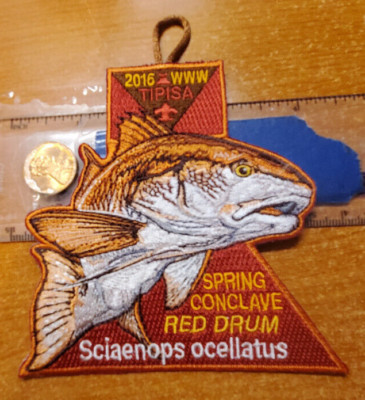 OA TIPISA Lodge 326, 2016 Spring Conclave, Red Drum, Sciaenops ...