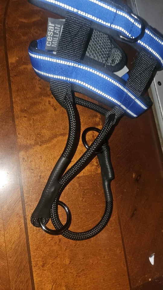 Cesar Millan Pack Leader Collar Small Training Collar of The Dog ...