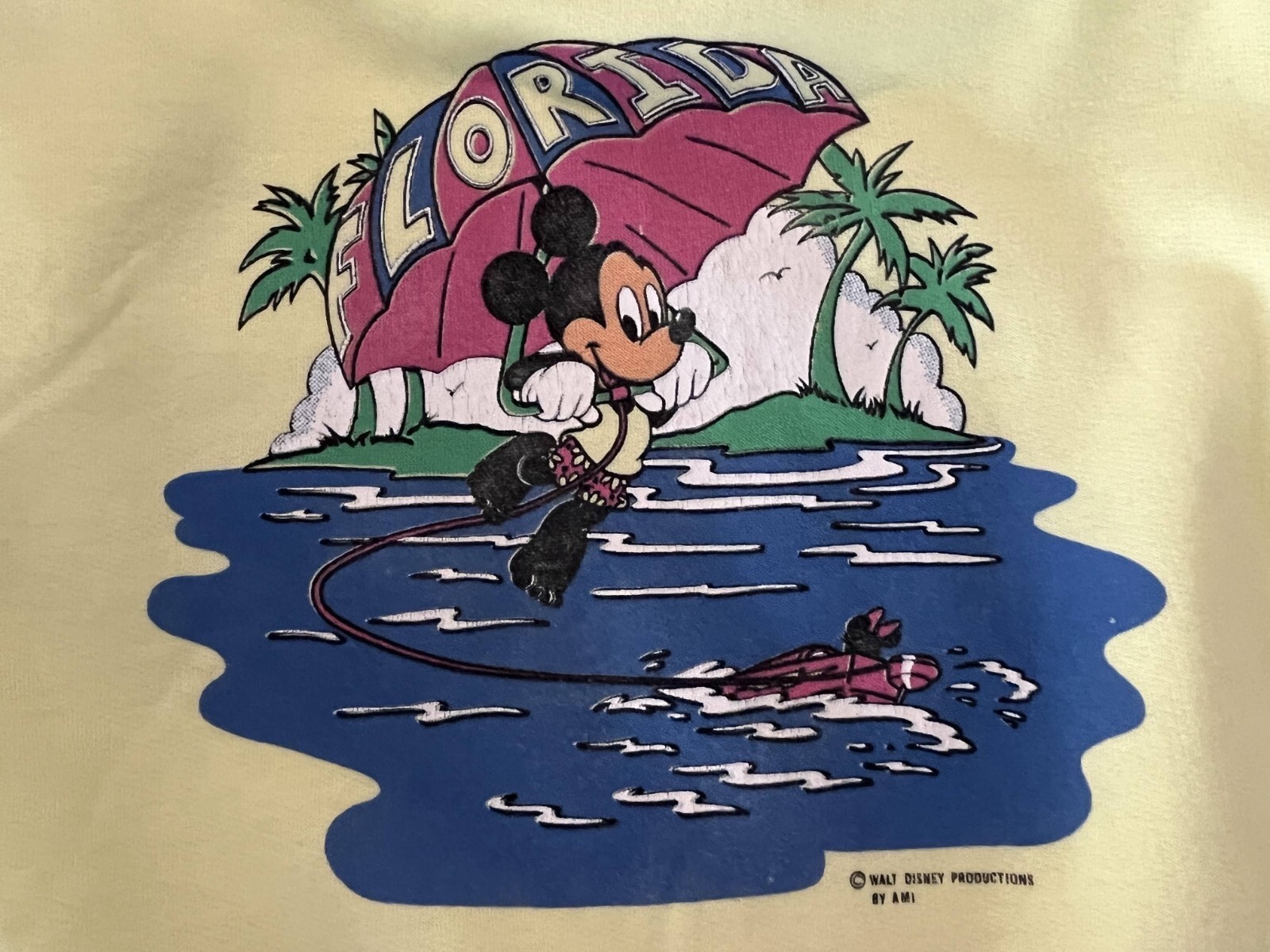 Vintage Allison Walt Disney Mickey Mouse Florida Swea… - Gem
