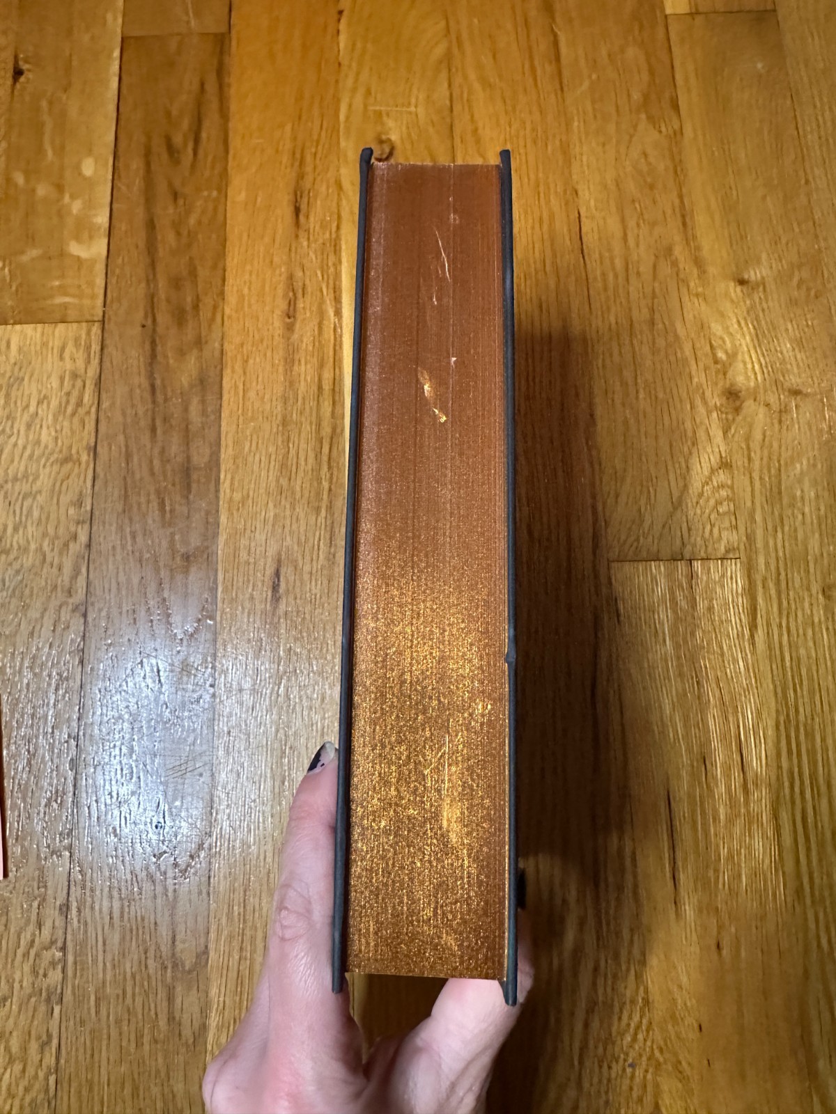 Dark & Disturbed Signing Exclusive of Web of Silence Duet by Leigh ...