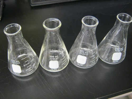 PYREX 250mL 4980-250 ERLENMEYER FLASK LOT OF 4 | eBay