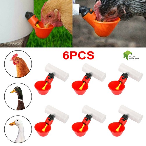 6x Automatic Cups Water Feeder Drinker Chicken Waterer Poultry Chook ...