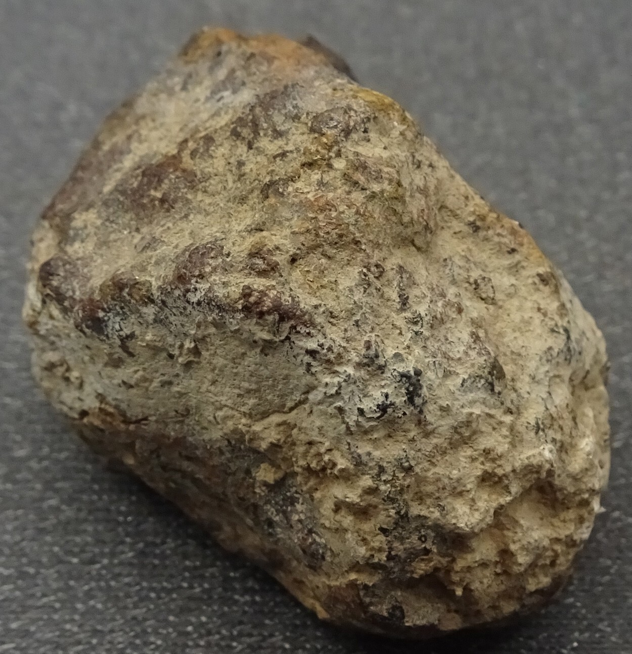 Meteorite, L4 Chondrite, Arizona - Mineral Specimen for Sale | eBay