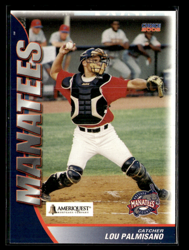 Lou Palmisano 2005 Brevard County Manatees Team Set | eBay