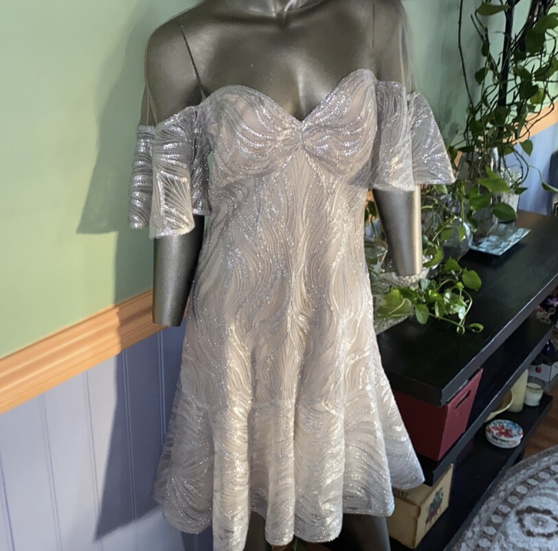 Tadashi Shoji Nerilla Sequin Illusion Dress SZ 12 | eBay