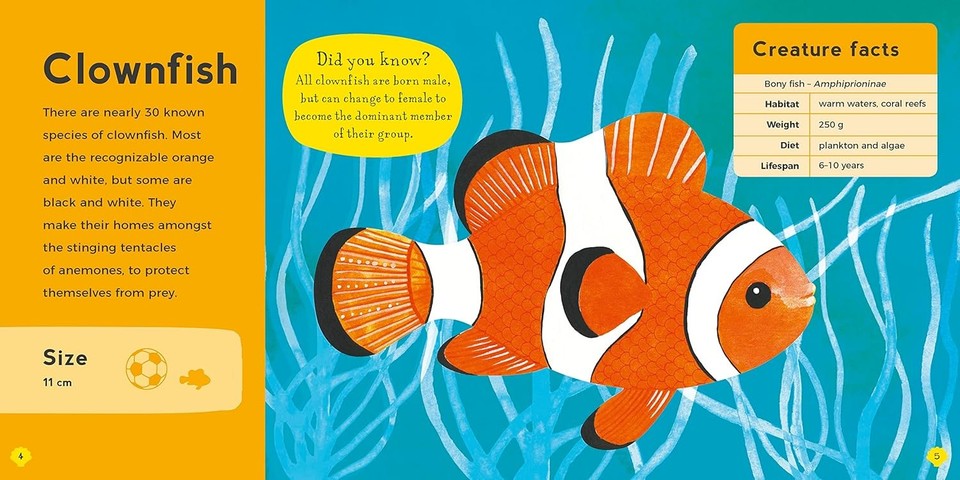 My First Book of Sea Creatures (Zoe Ingram's My First Book of...) | eBay UK