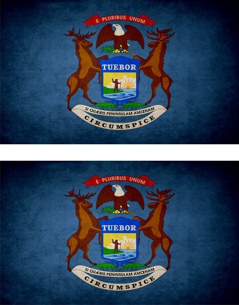 2X Vintage Distressed USA Michigan Flag Sticker | eBay