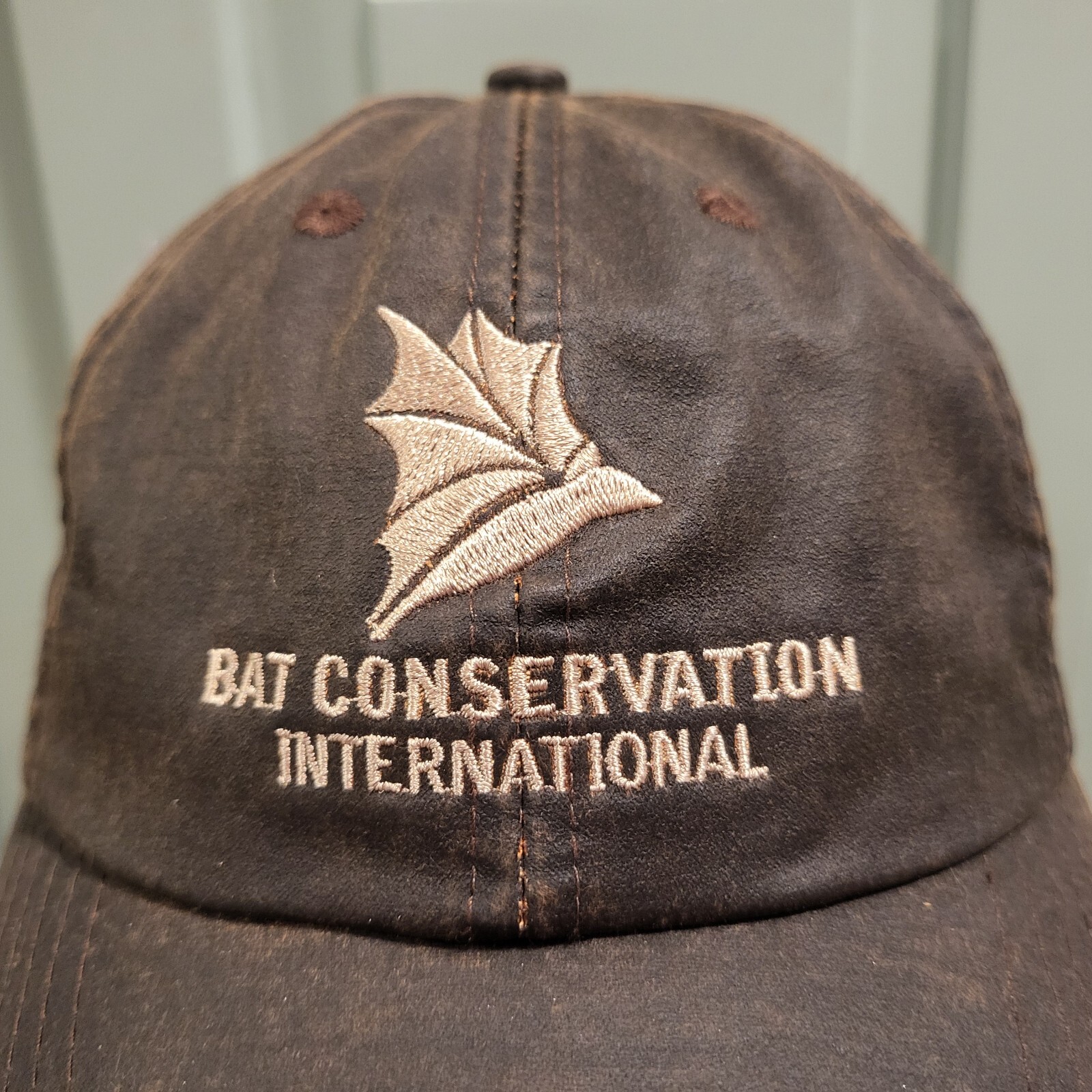 Bat Conservation International