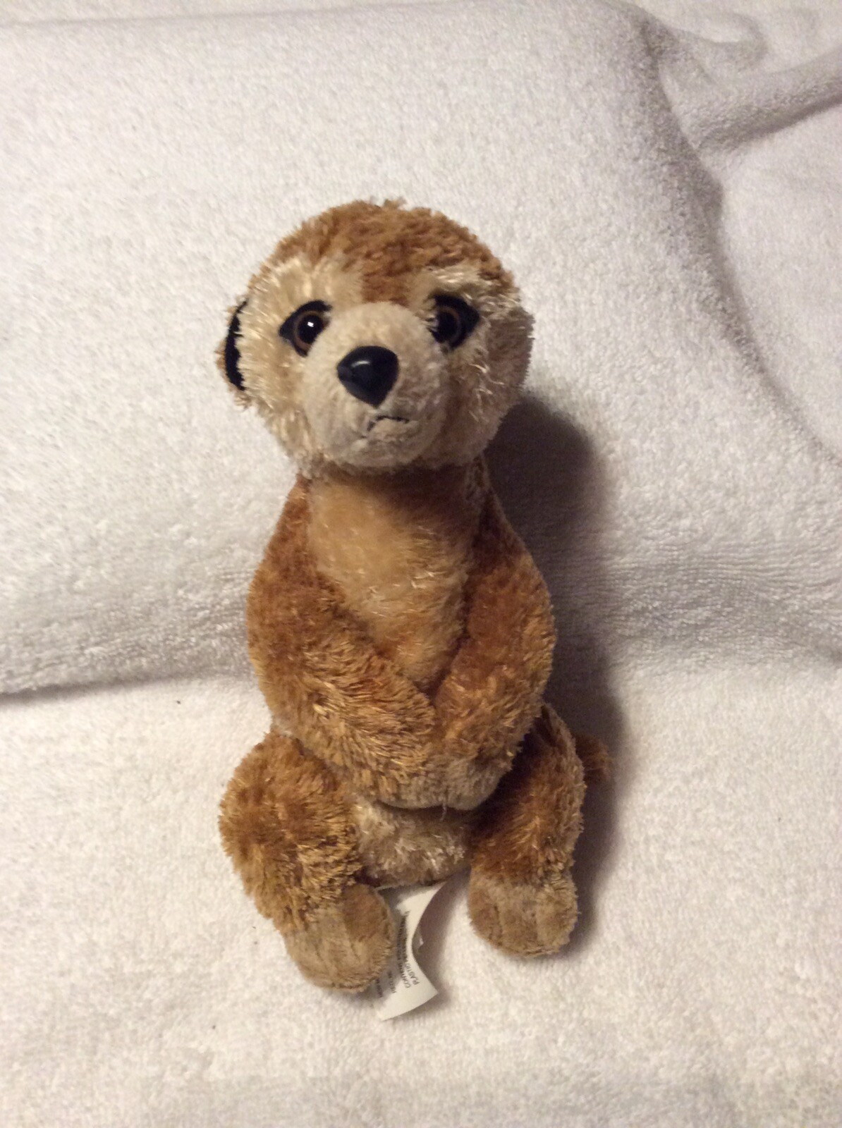 7" Aurora North America Prairie Dog Bean Plush Stuffed Animal Lovie | eBay