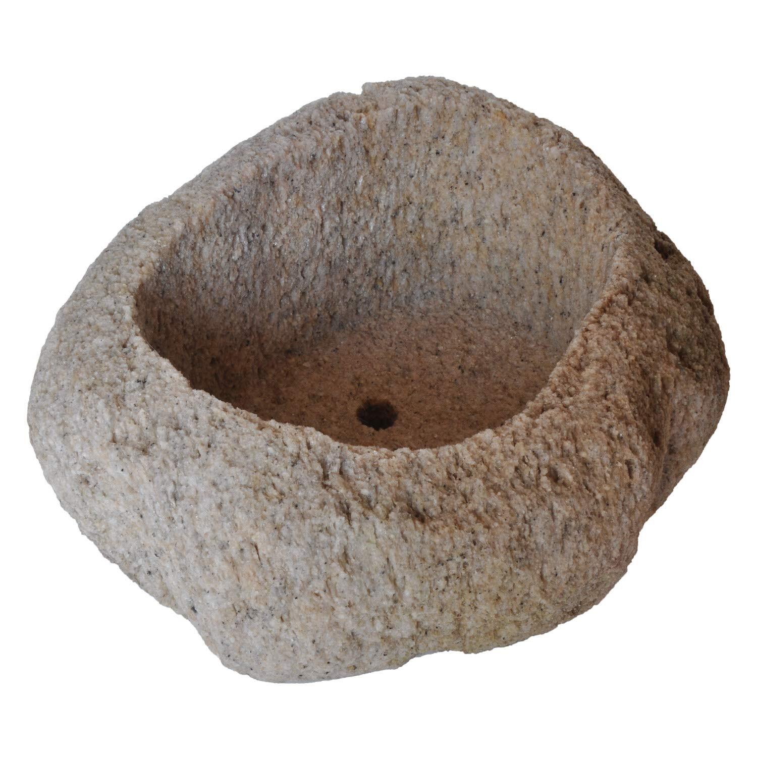 Bonsai Kobohayachine Fireproof Pumice Pot LL Size - For growing wild ...