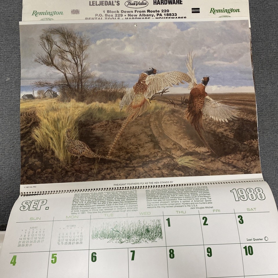 Vintage Remington 1988 Wildlife Calendar Tom Beecham Prints True Value ...