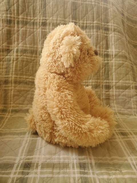 Ty Classic Boris The Bear 12" Beanbag Plush Soft 50060 for sale online ...