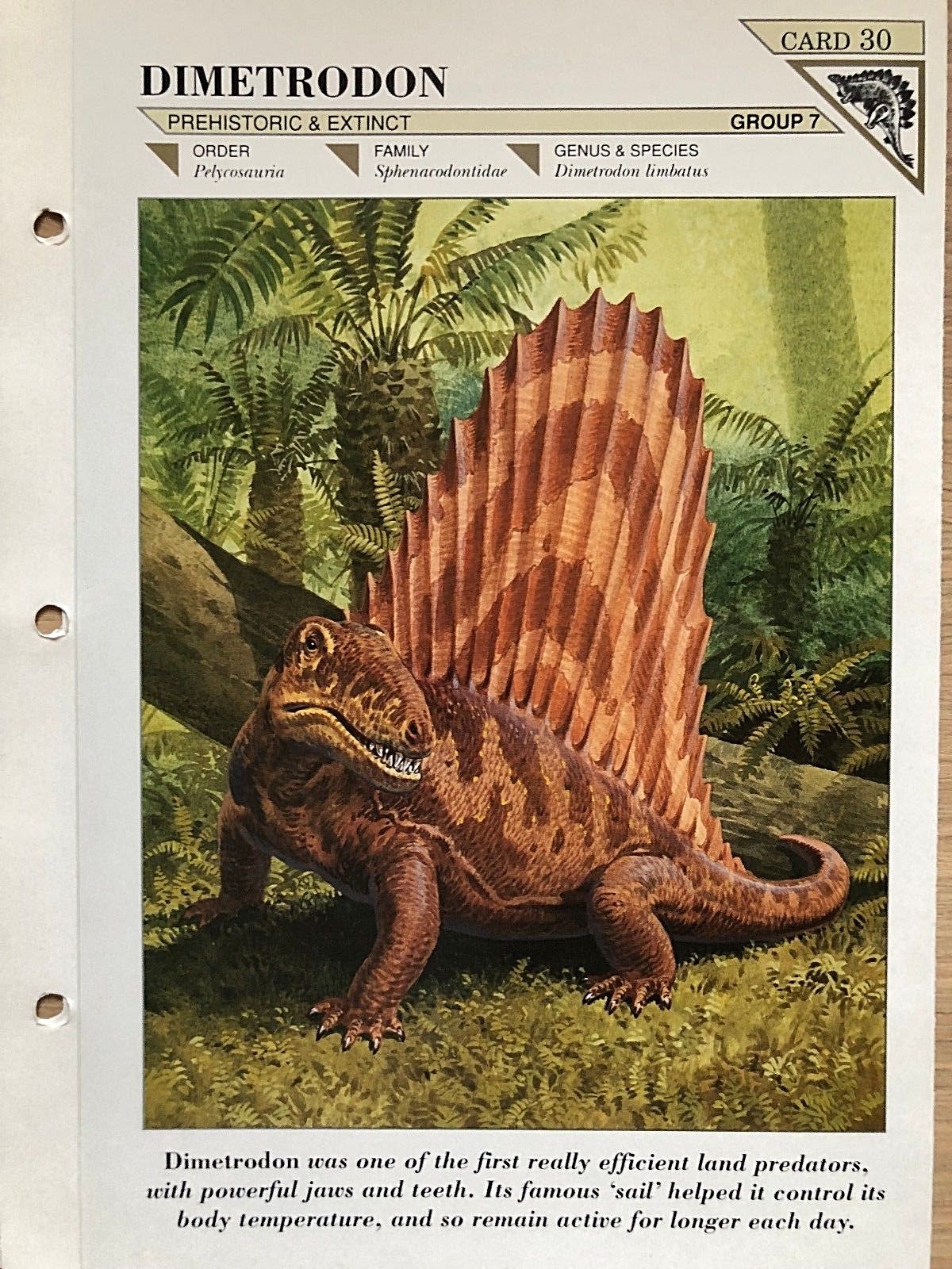 Wildlife-Fact-File-Extinct Animals-Wild Animals-School-Nature-From 1 to ...