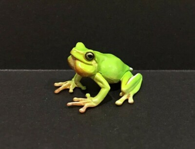Kaiyodo Animatales Choco Q Series 9 Hallowell's Green Tree frog Figure ...