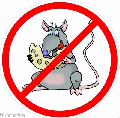 NO RATS CHEESE HARD HAT HELMET TOOLBOX LAPTOP BUMPER DECAL STICKER MADE ...