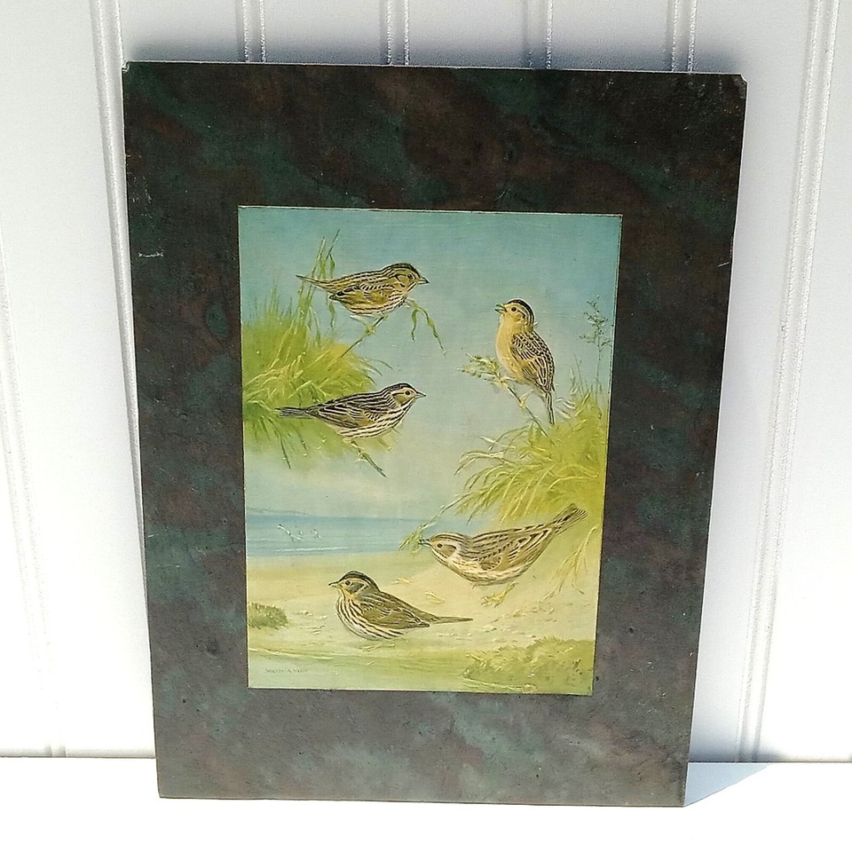 Walter A Weber Bird Print On Gray Slate Tile Textured Art Unique Wall ...