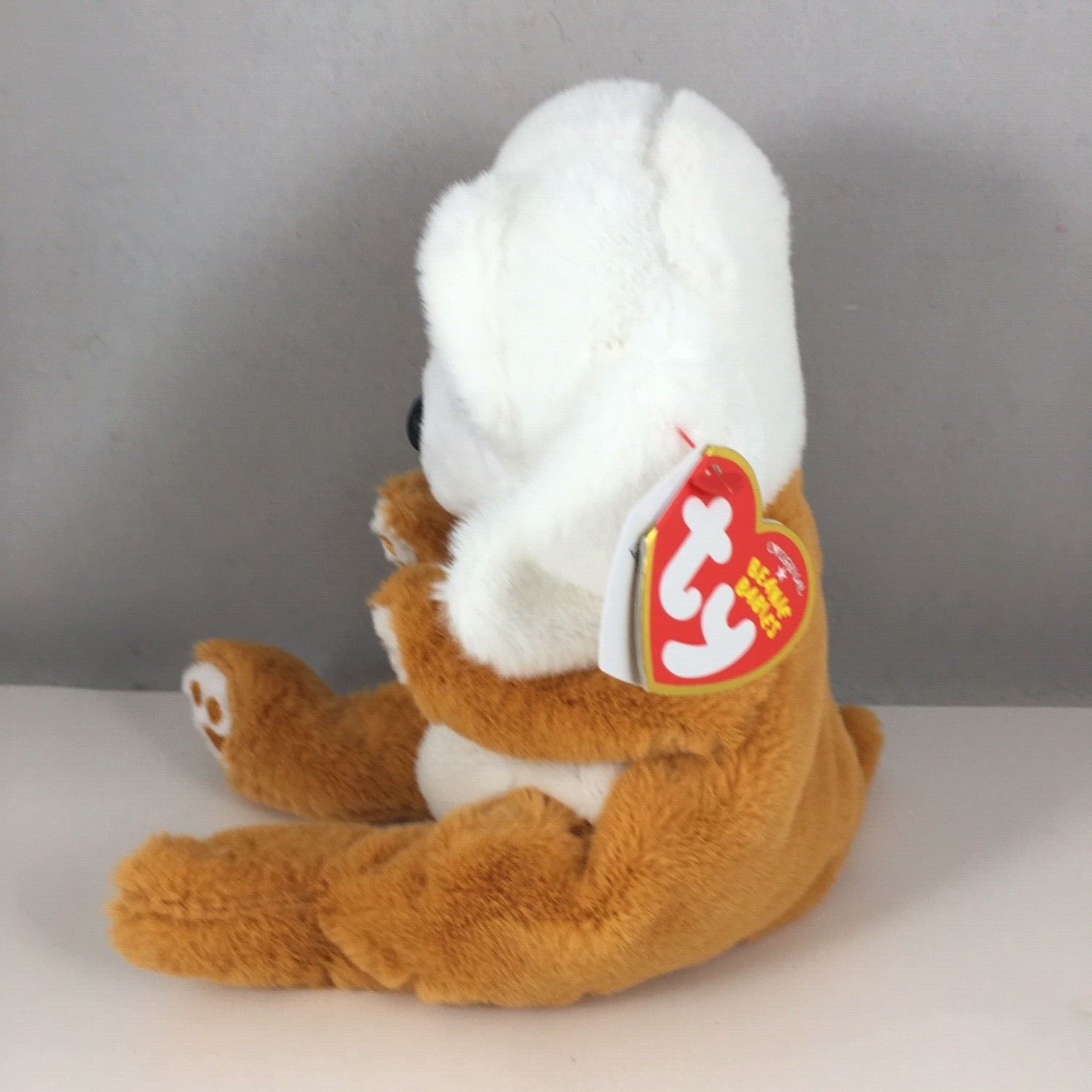 New! 2022 TY Beanie Baby (Beanie Bellies) - RUGGLES the Dog (6 inch ...