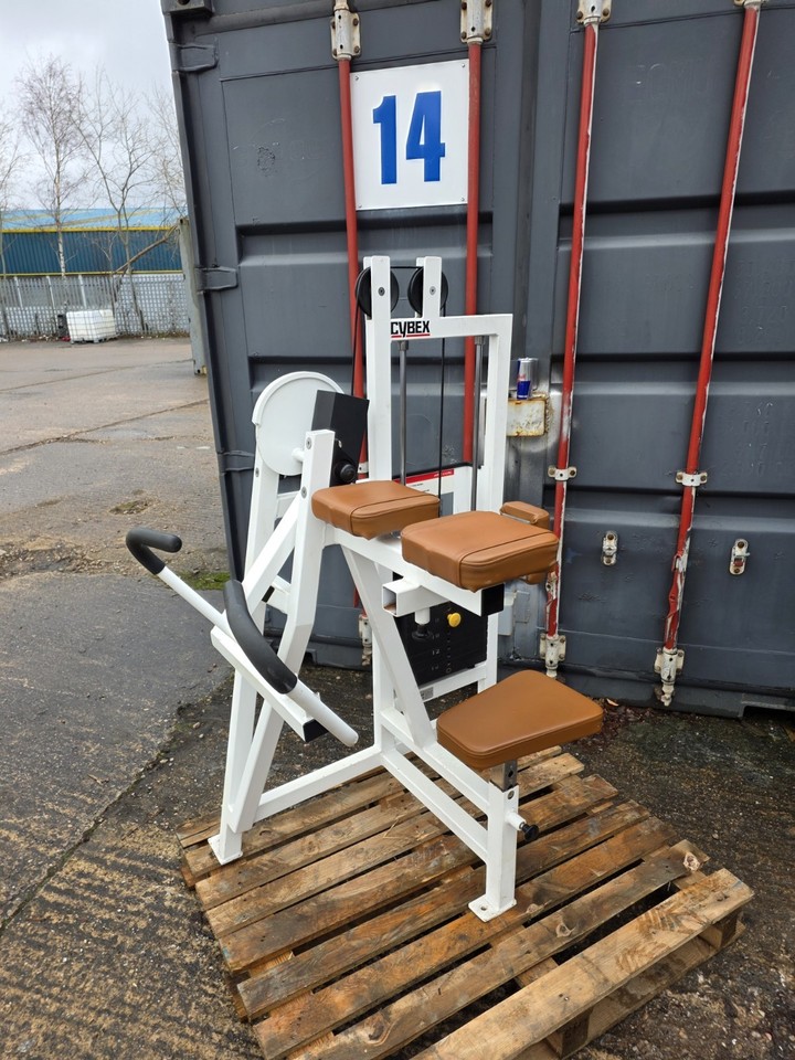 Cybex Bicep Curl Machine Commercial Gym Equipment | eBay UK