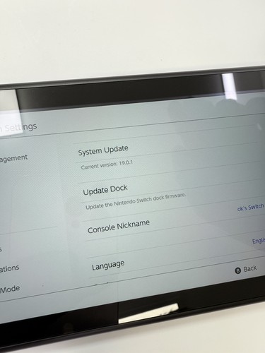 Nintendo Switch V1 Unpatched Serial, Laminated Display Tablet Only ...