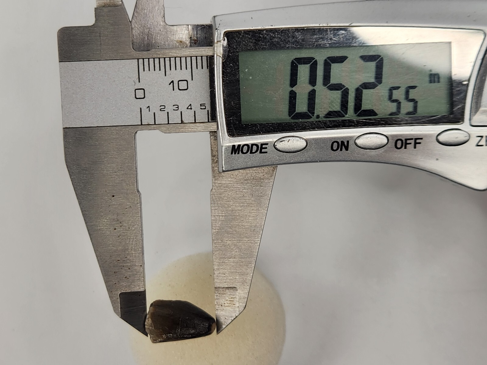 Jurassic Morrison Crocodile 0.52" Tooth Fossil - Bone Cabin Quarry ...