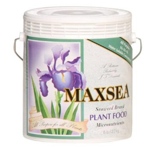Maxsea 16-16-16 ALL PURPOSE Plant Food-Water Soluble Seaweed nutrient ...