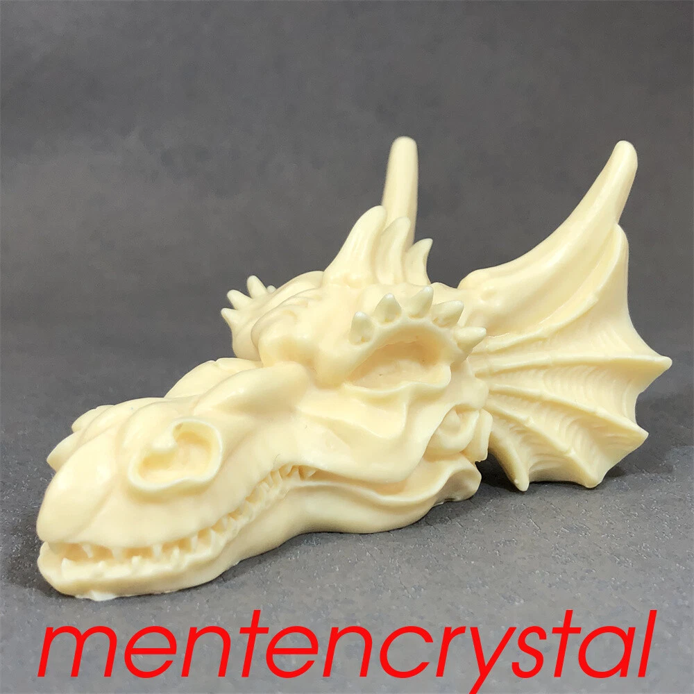 Real Dragon Skull