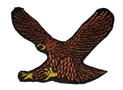 SOARING EAGLE PATCH AMERICAN PATRIOTIC NATIONAL SYMBOL | eBay