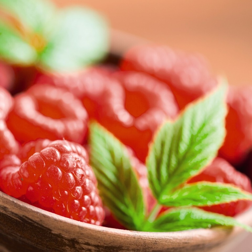 T&M Raspberry Fruit 'Malling Minerva' Early Summer Easy to Grow (3, 6 ...
