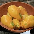 Yellow Bell Tomato Seeds (((25 Seed Packet))) (More Heirloom, Organic ...