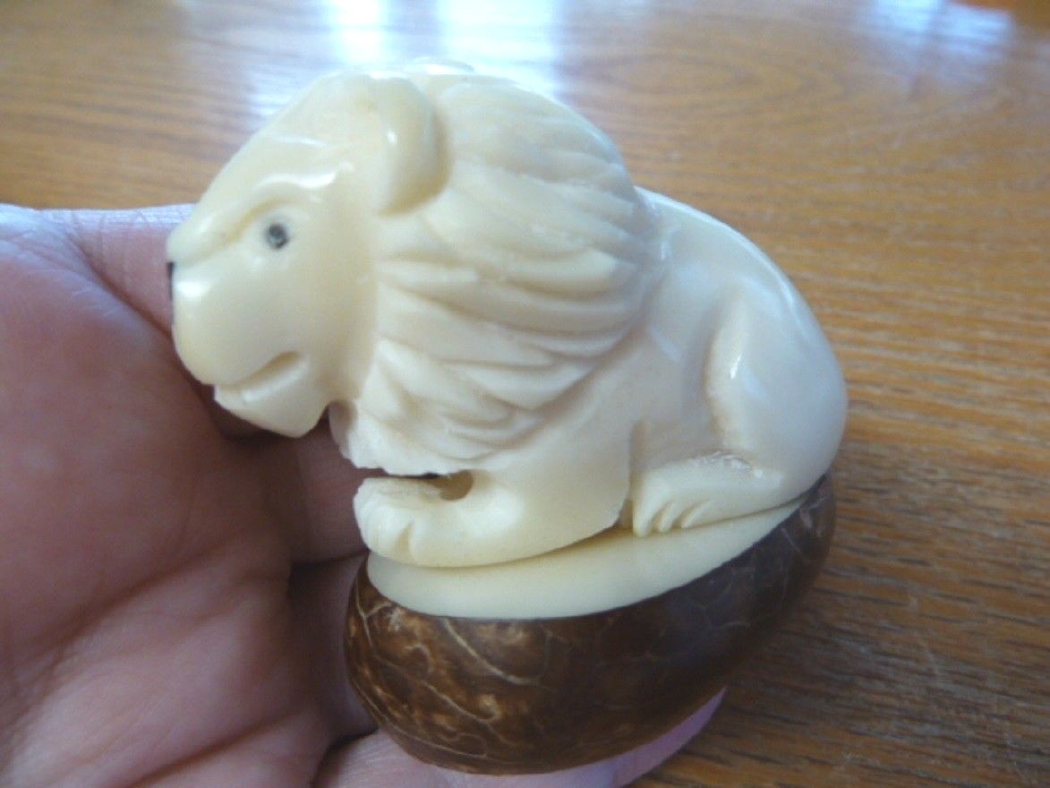 TNE-LION-447b) Lion LIONS big cat TAGUA NUT Figurine VEGETABLE wild ...