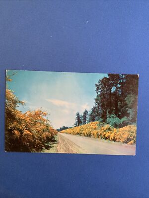 Greetings From Weikert, Pa…Old Postcard | eBay