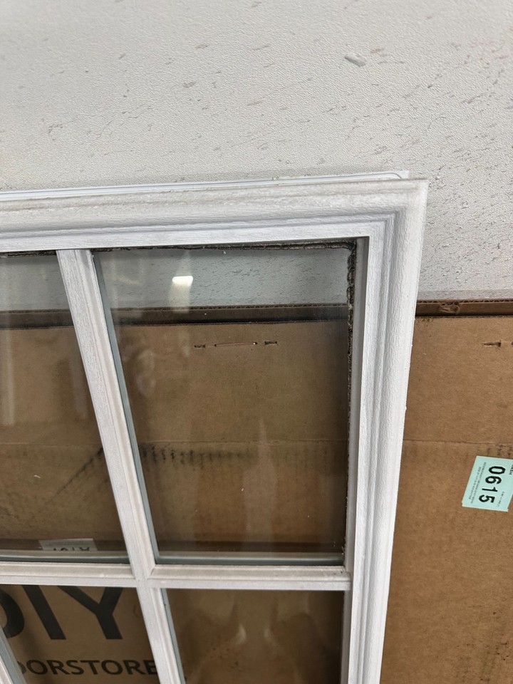 ODL 22 X 36 CLEAR 9 LITE COMPLETE DOOR INSERT DOUBLE PANE TEMPERED | eBay