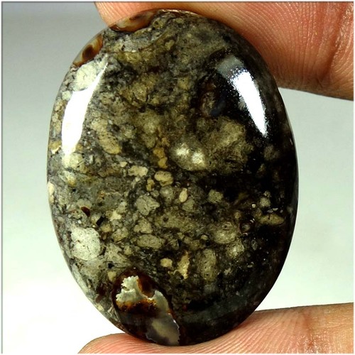 40.55Cts Natural Amazing Fossil Colus Agate Oval Cab Loose Gemstones ...