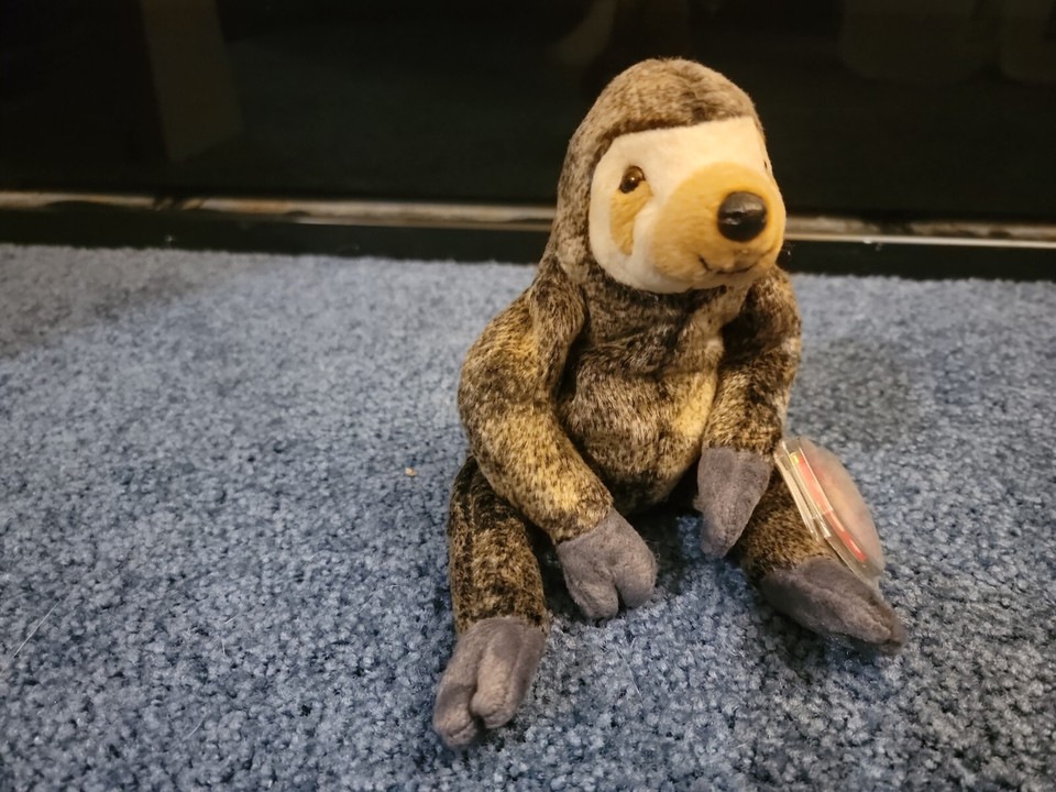 TY Beanie Babies Slowpoke the Sloth 1999 Retired Mint With Tag | eBay