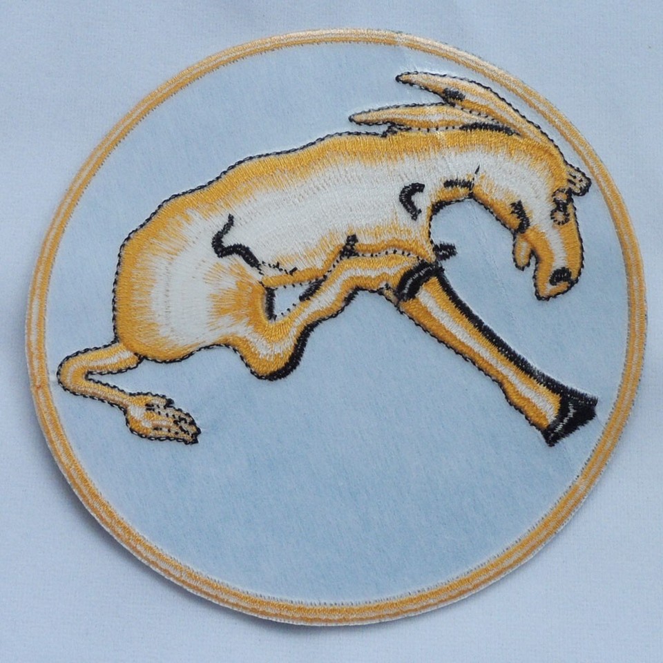 WW2 USAAF 95th Bomb Squadron Patch 17th bombardment group Jacket Patch ...