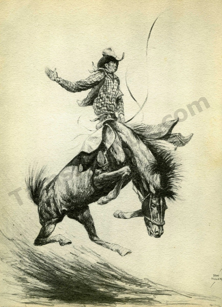 Bucking Horse Sketch