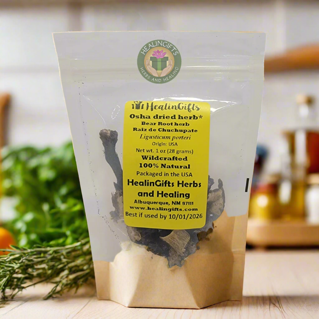 Osha Herb Drawing HealinGifts Osha' Bear Root Herb Ligusticum Porteri