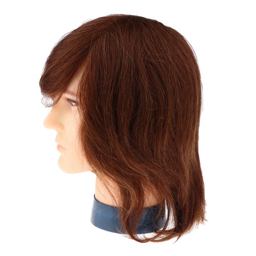 10'' Male Mannequin Head with Real Brown Barber Styling Doll Head ...